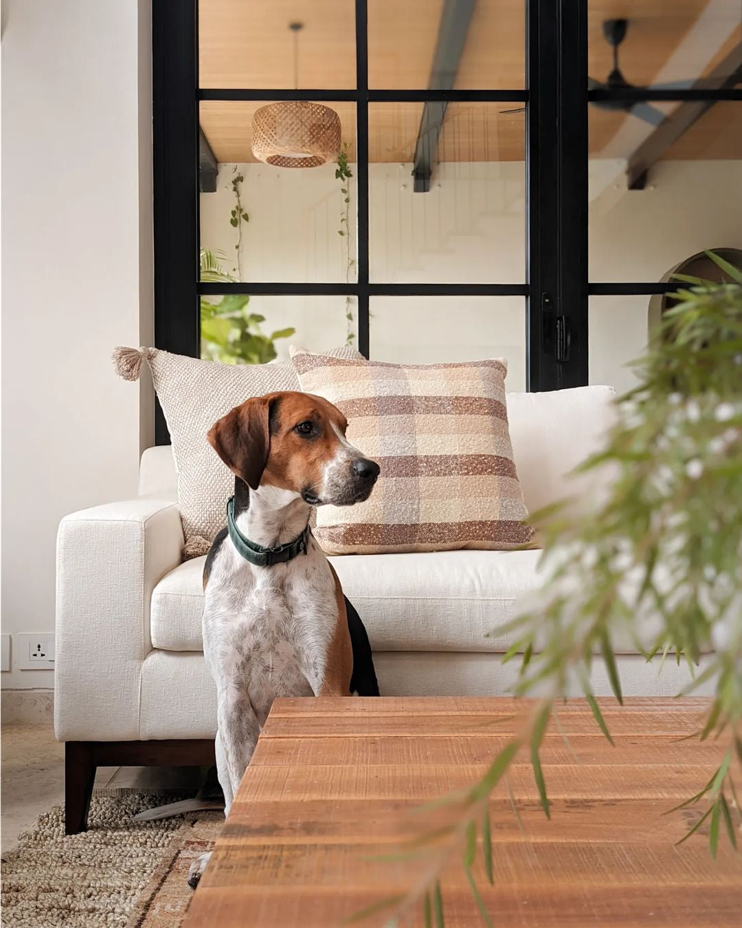 Creating a Minimalist’s Dream Living Space – Mianzi