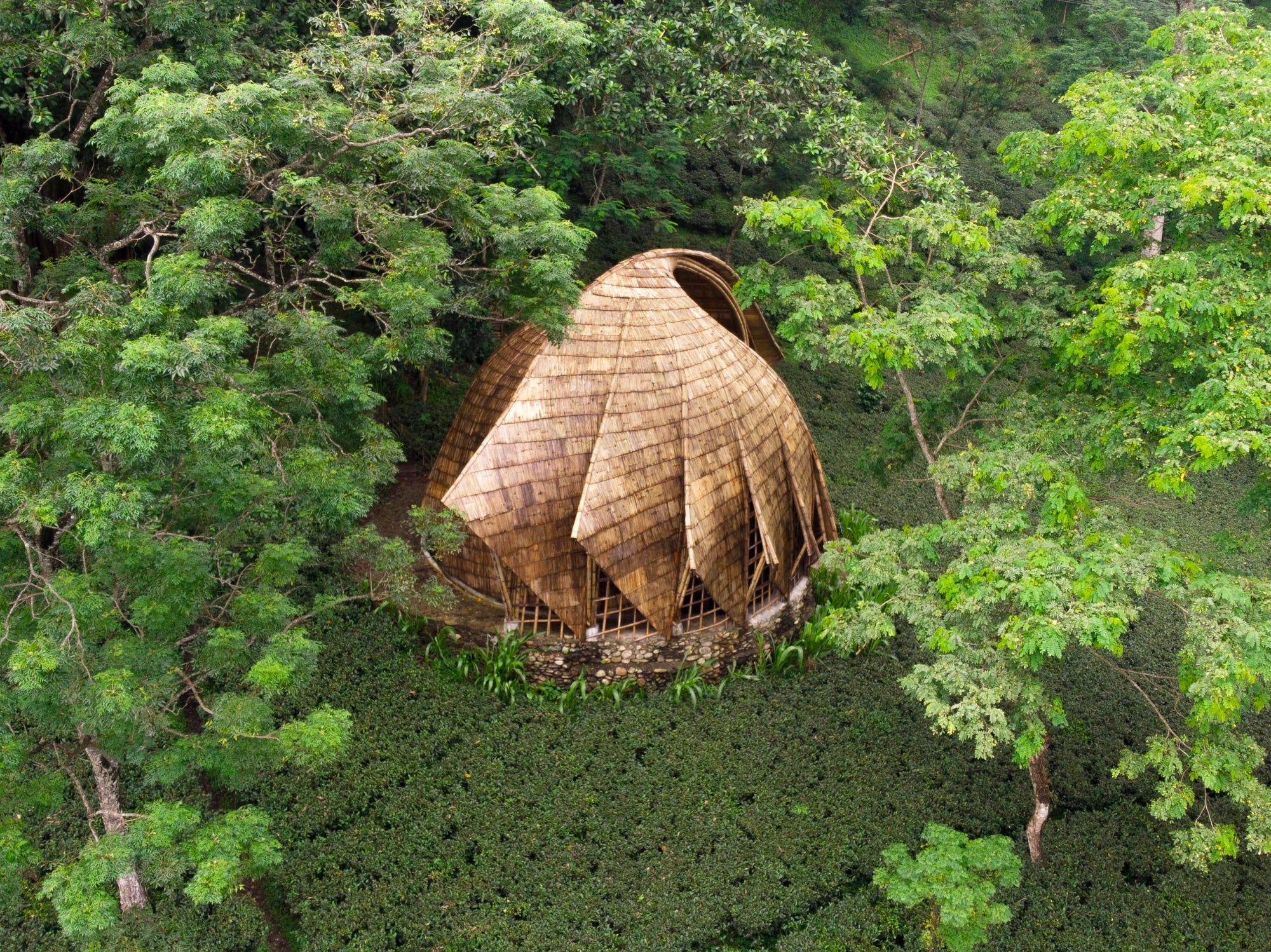 Mianzi Research Lab : Research Based Architectural Projects and Bamboo ...