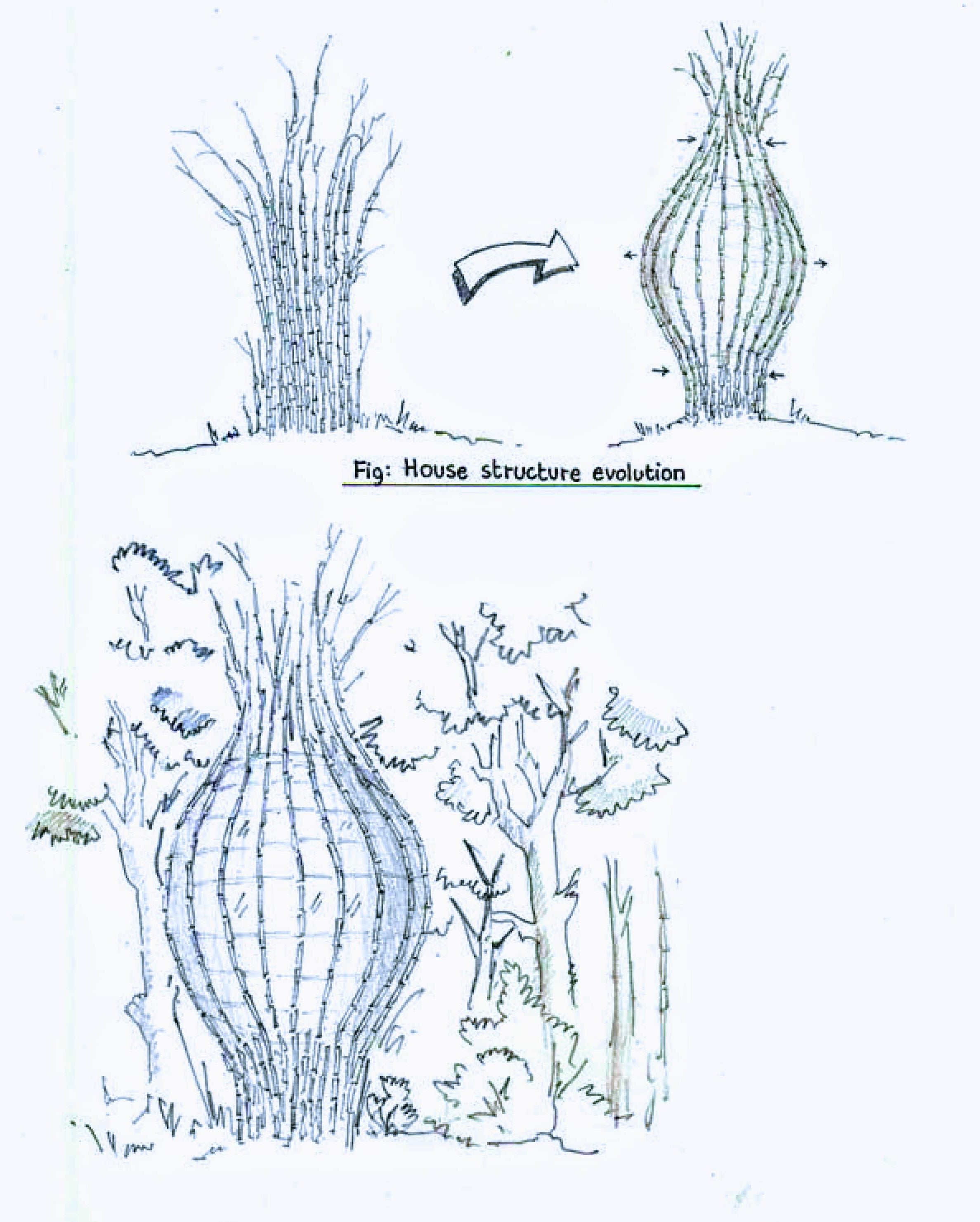 IGBC Bamboo Tree House – Mianzi